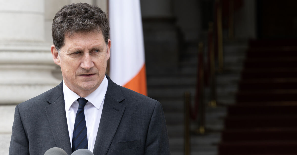 Ryan warns Healy-Raes 'the Kingdom is going green' in local elections