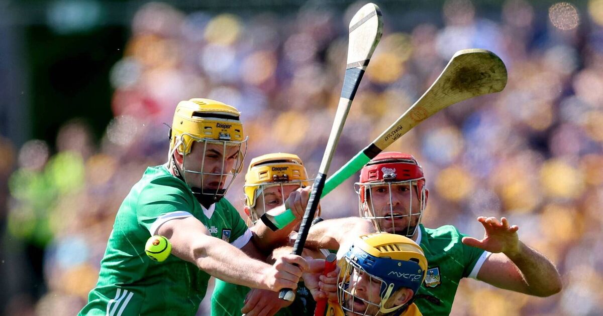 Anthony Daly: Limerick never wilted or panicked, on the line or on the ...