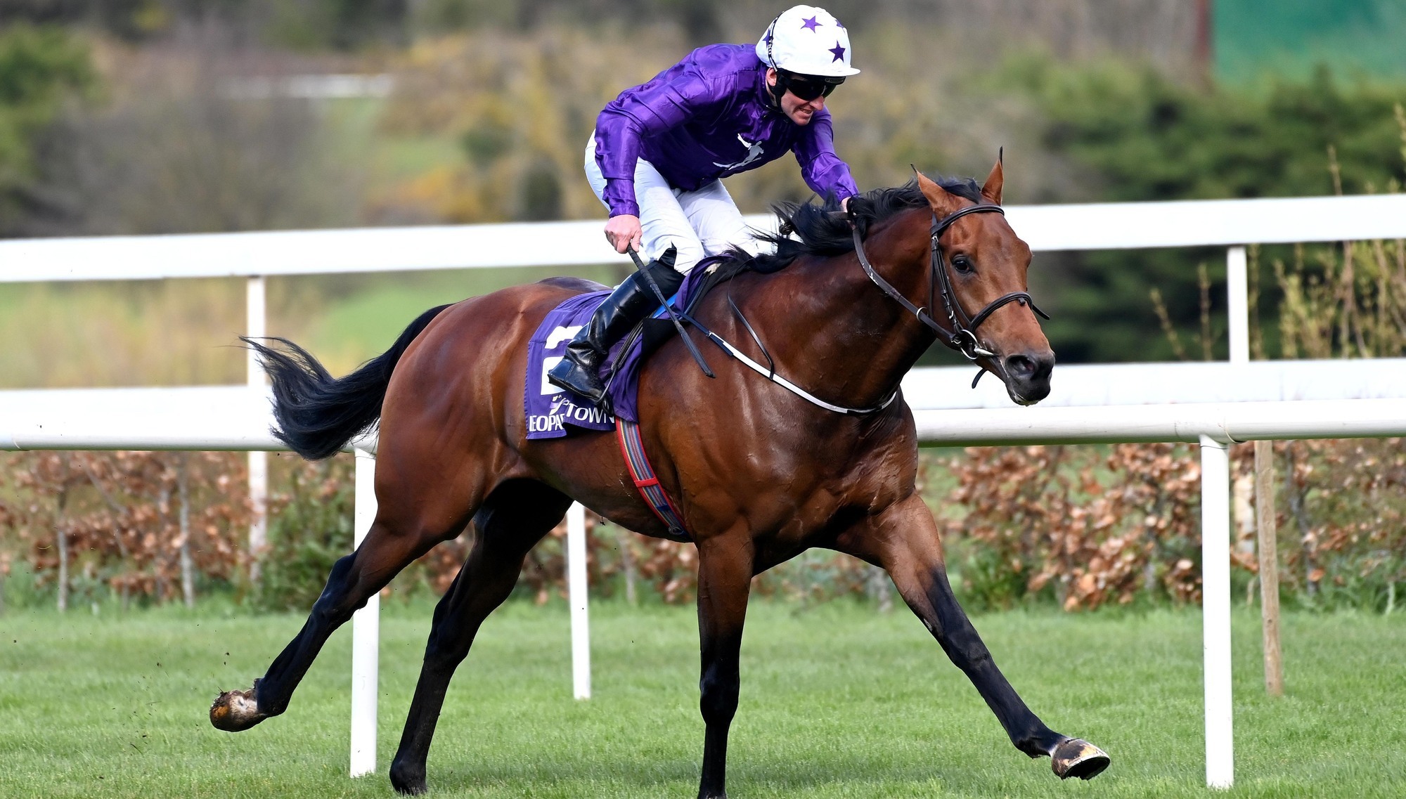 Ballysax scorer Dallas Star added to Derby field