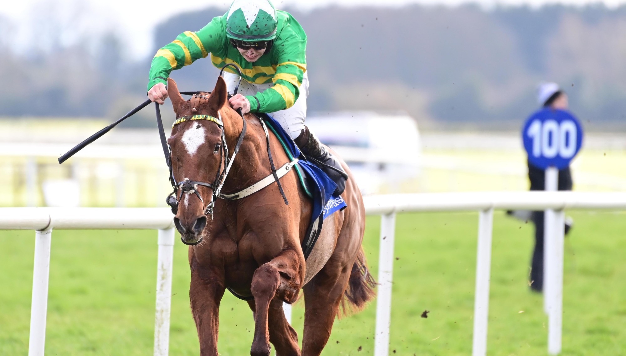 Wexford tips: Shadow Rider can make winning return to chasing