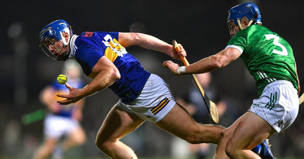 Eimear Ryan: What might represent a positive year for Tipp hurling?