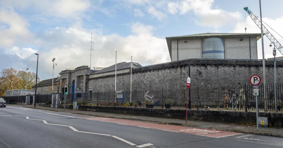 Cork woman who alleged her rights were breached in Limerick Prison has ...