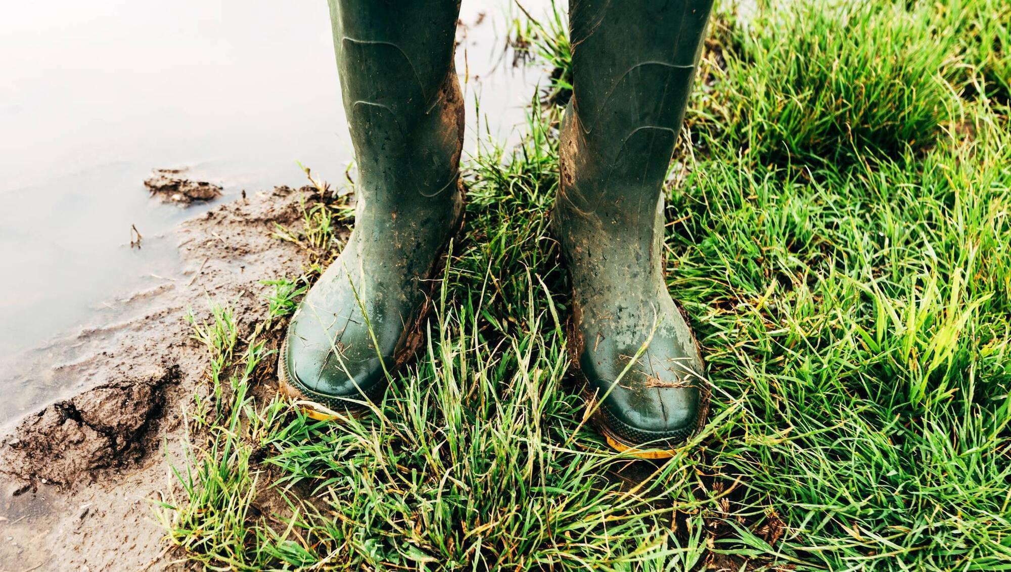 Advice to check well water after recent heavy rains