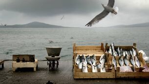 Viking Toast recipe: How to make the tasty Pinch of Nom dish everyone’s ...