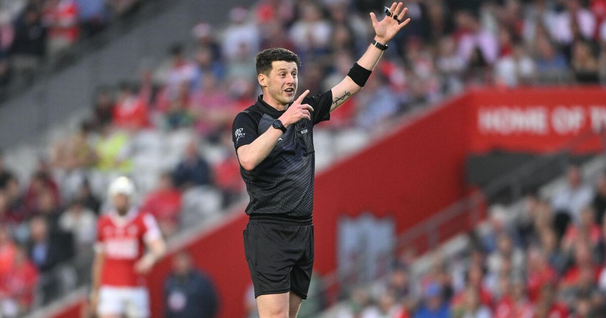 Brian Gavin: Referee Seán Stack played his part in a Munster hurling epic