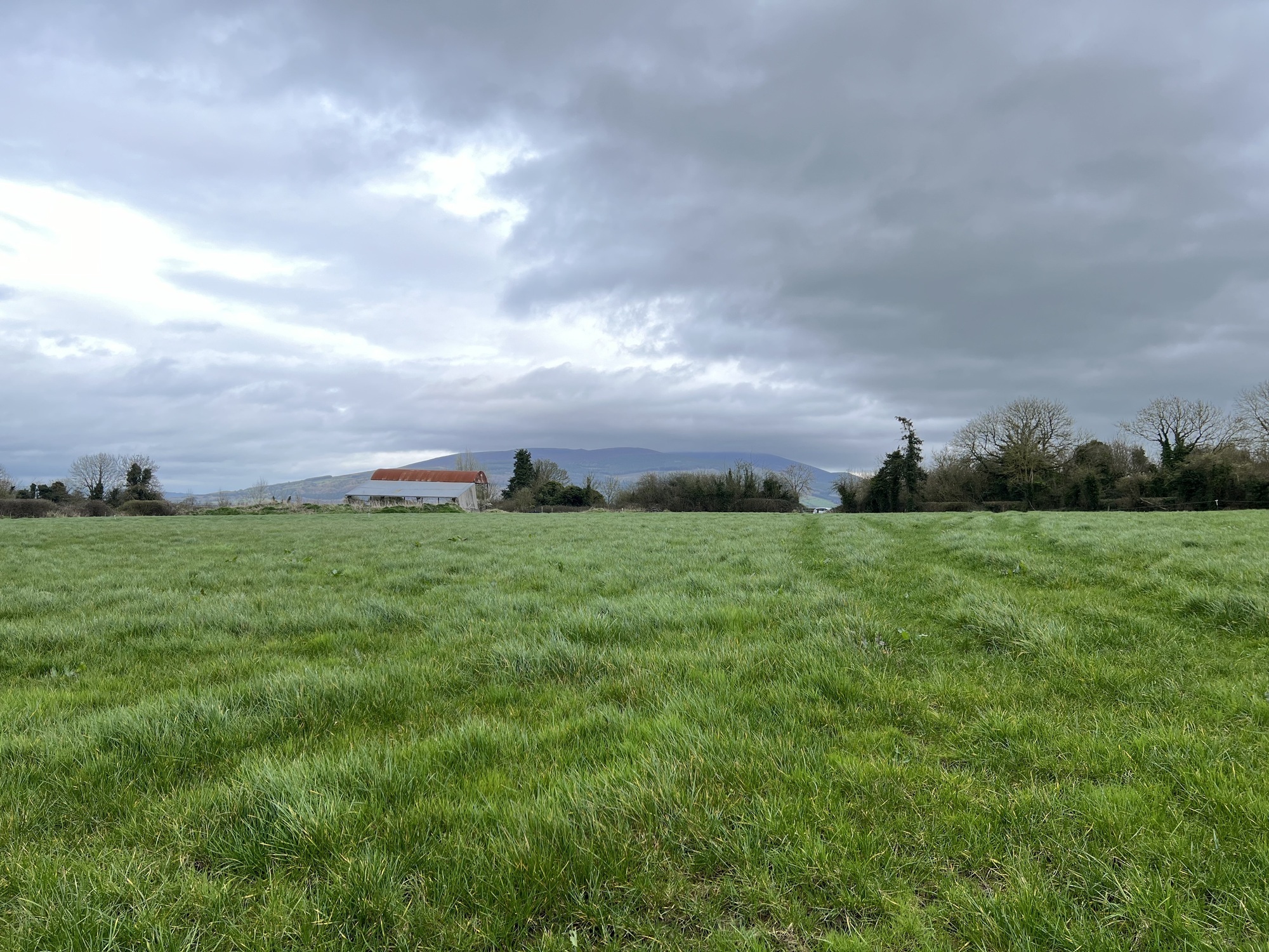 South Tipp parcel tops €30,000/acre at auction