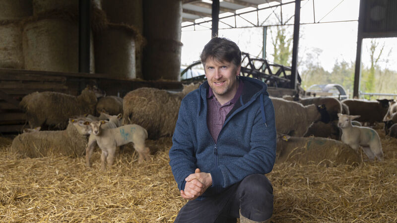 Brian Keane: It's a race to make up the winter fodder shortfall - but I ...