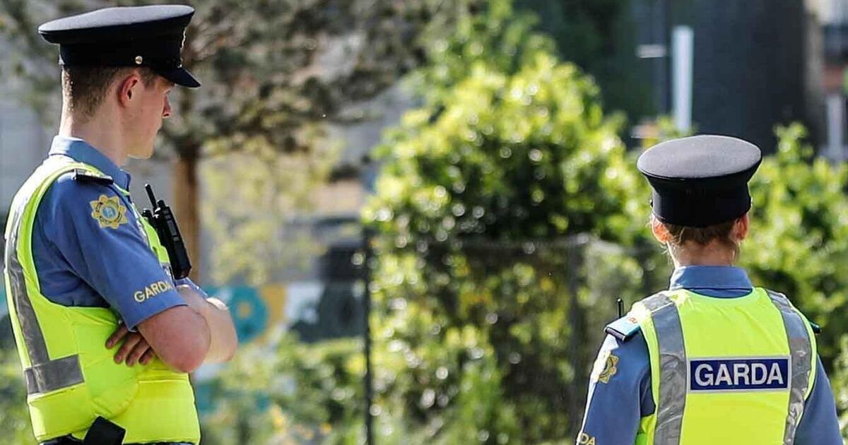 Gardaí to provide support to Irish fans at Olympics and Paralympics