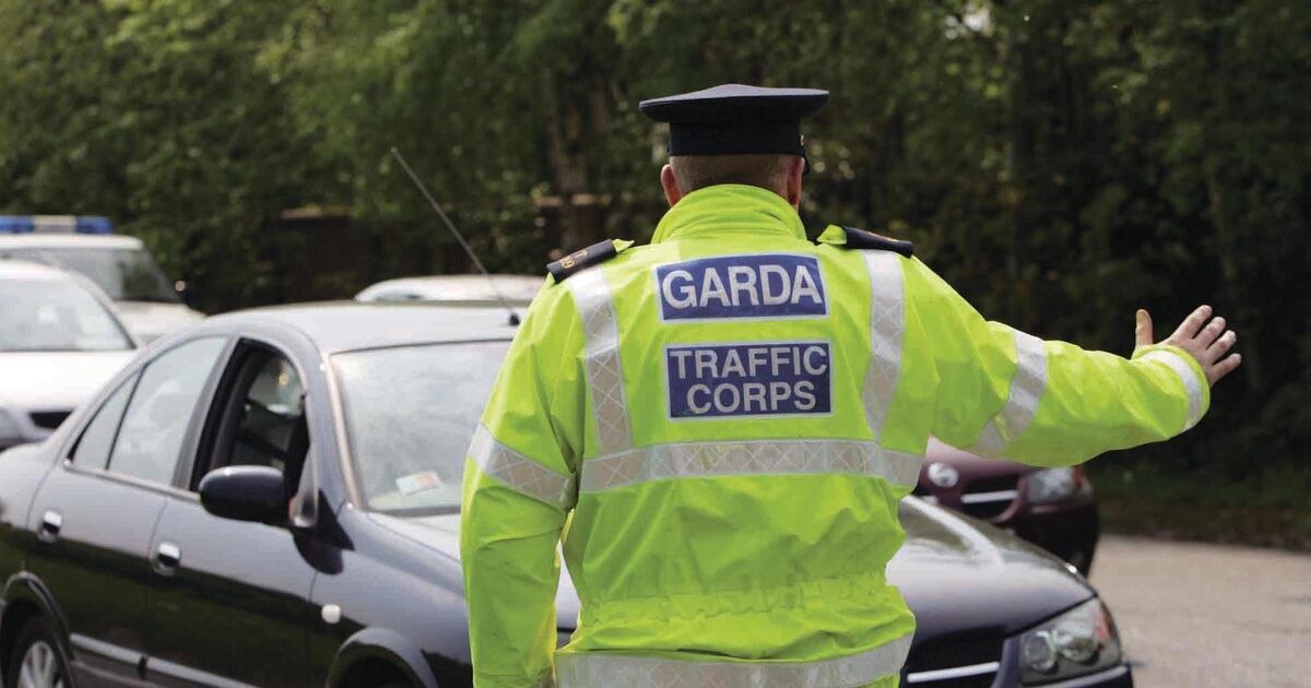 Garda Commissioner to deny force has policy to cut numbers in roads ...