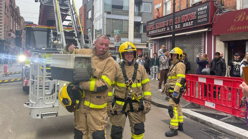 Dramatic bird on a wire rescue enthrals hundreds of shoppers