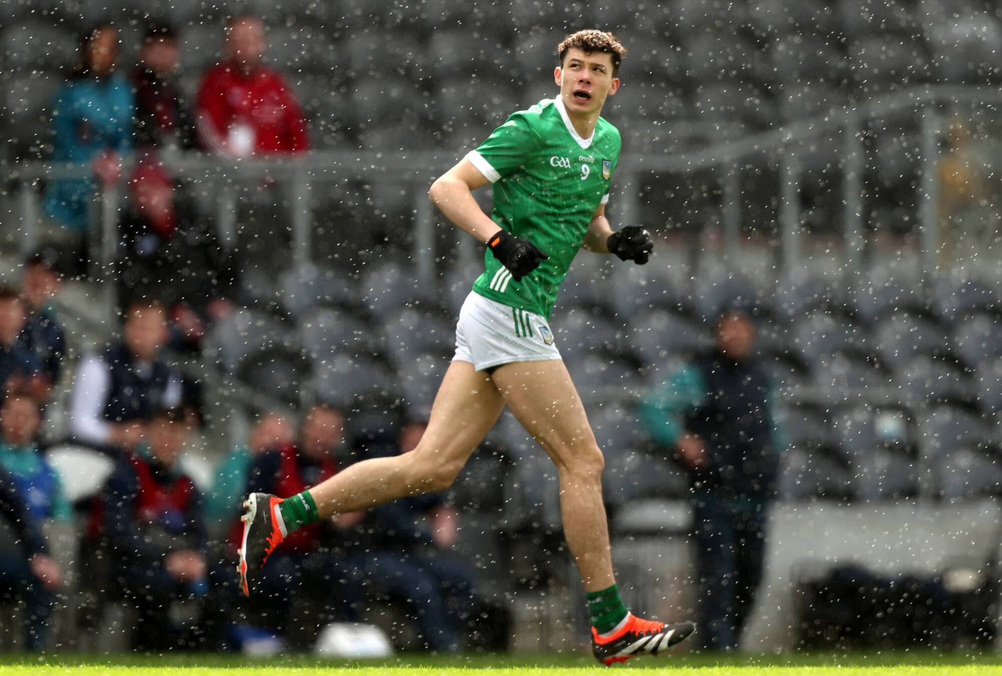 Limerick end year-long wait for victory as Offaly slump again