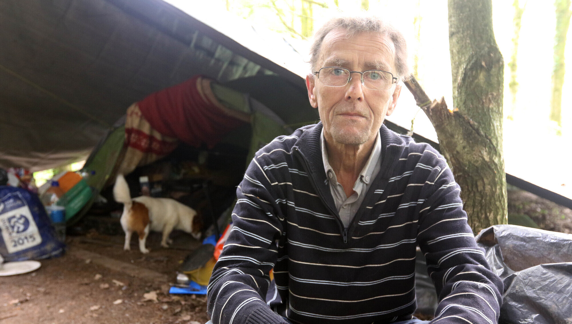 'I could never abandon them': IT technician sleeps in tent rather than ...