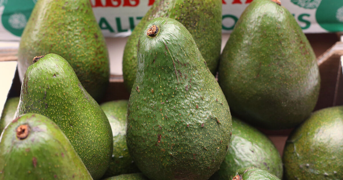 Guac-jackers steal 40 tonnes of avocados