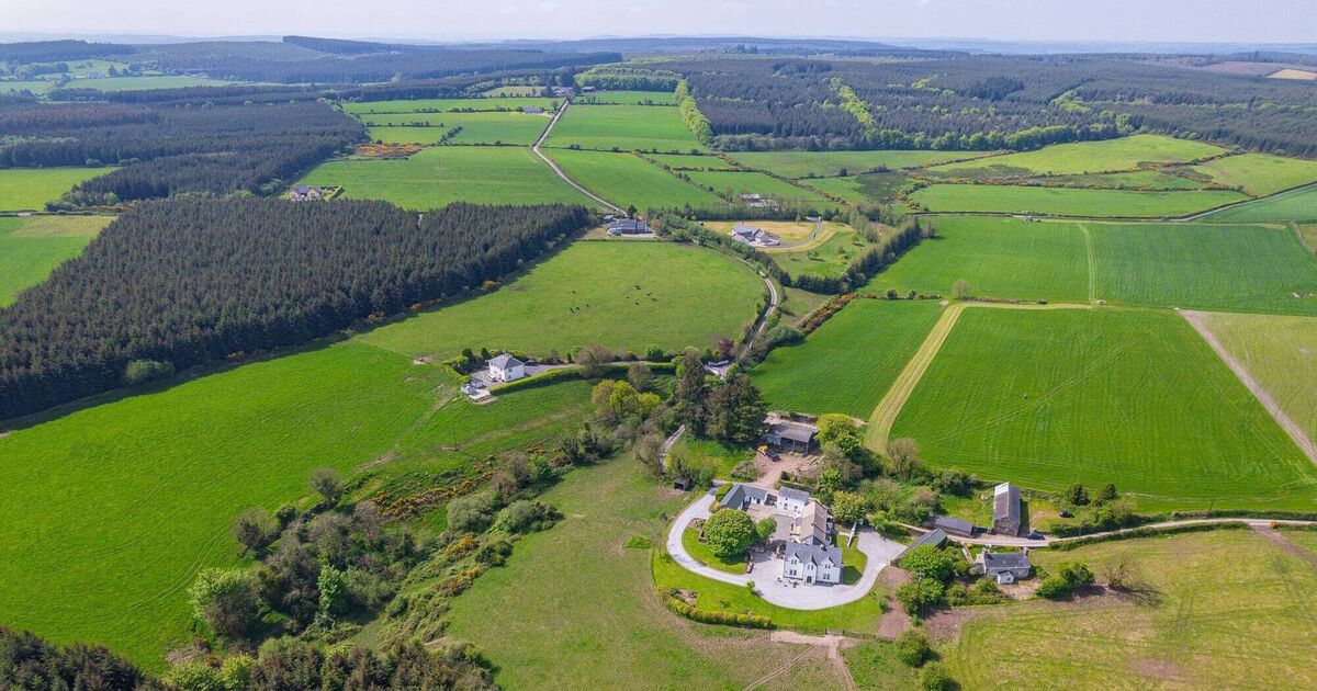 Say yes to Ballynoe as chic country home gets second outing