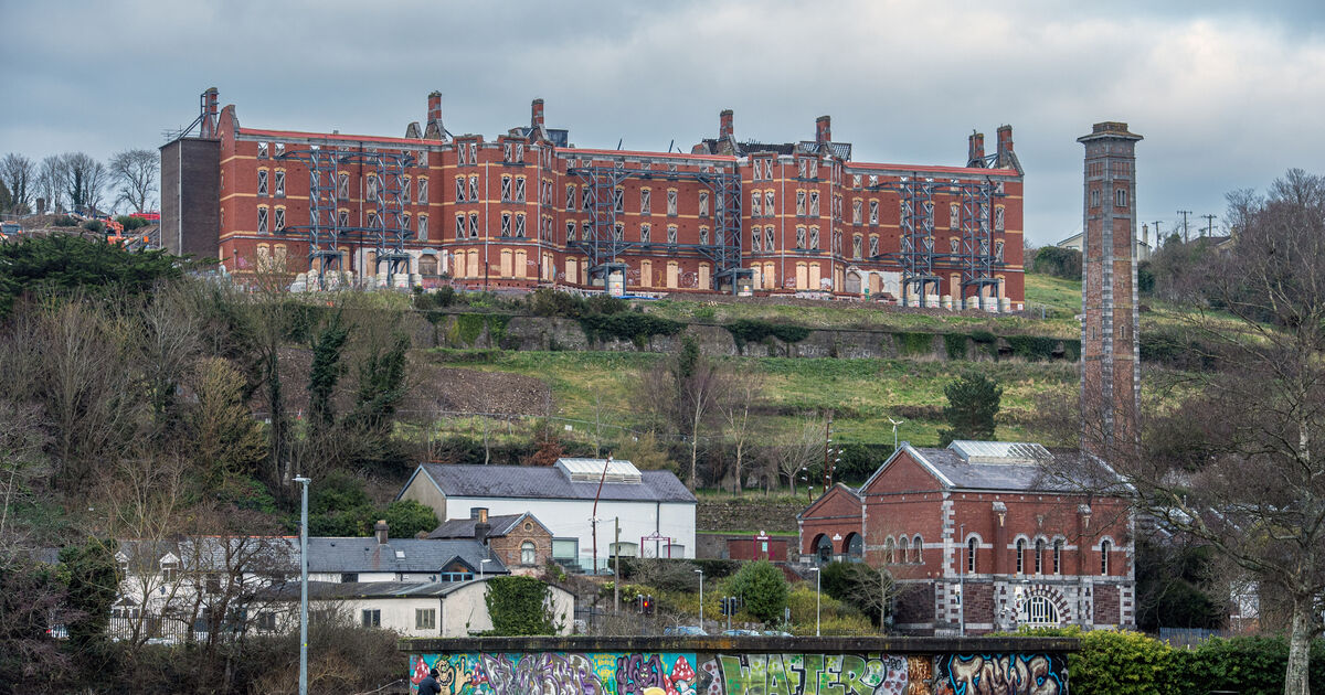 First homes on St Kevin's Hospital site to be delivered next year