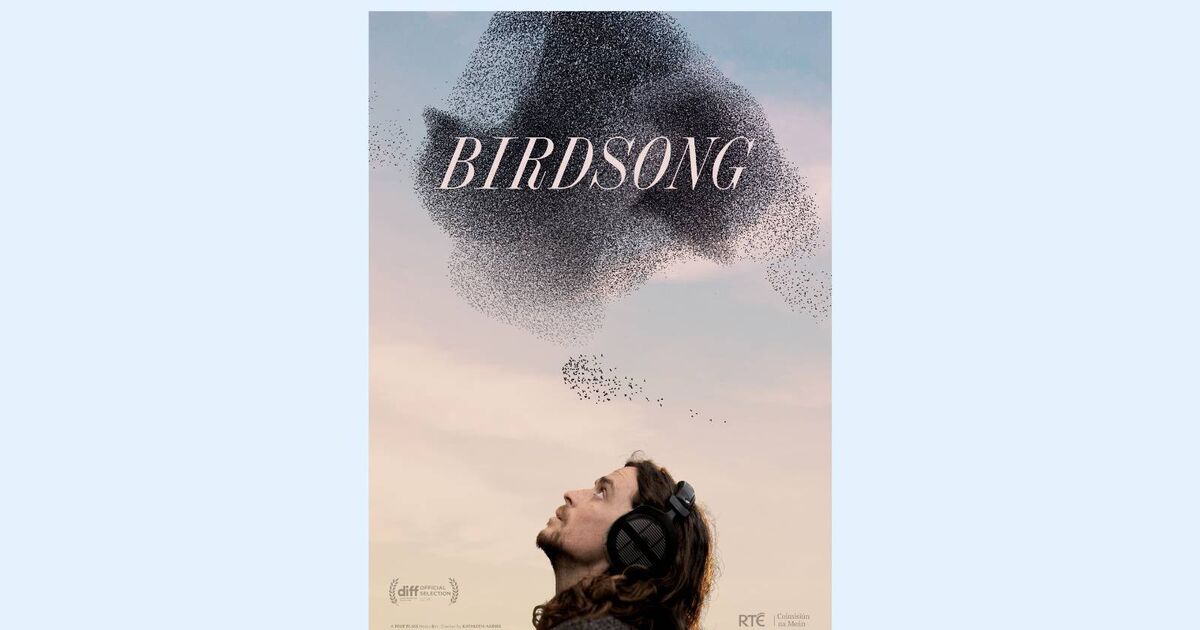 Decoding the secret language of birds — new film Birdsong is endearing ...
