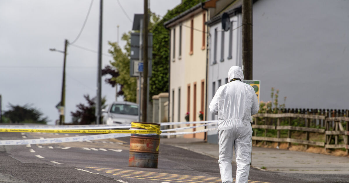 Two arrested as man who died following alleged assault in Kerry is ...