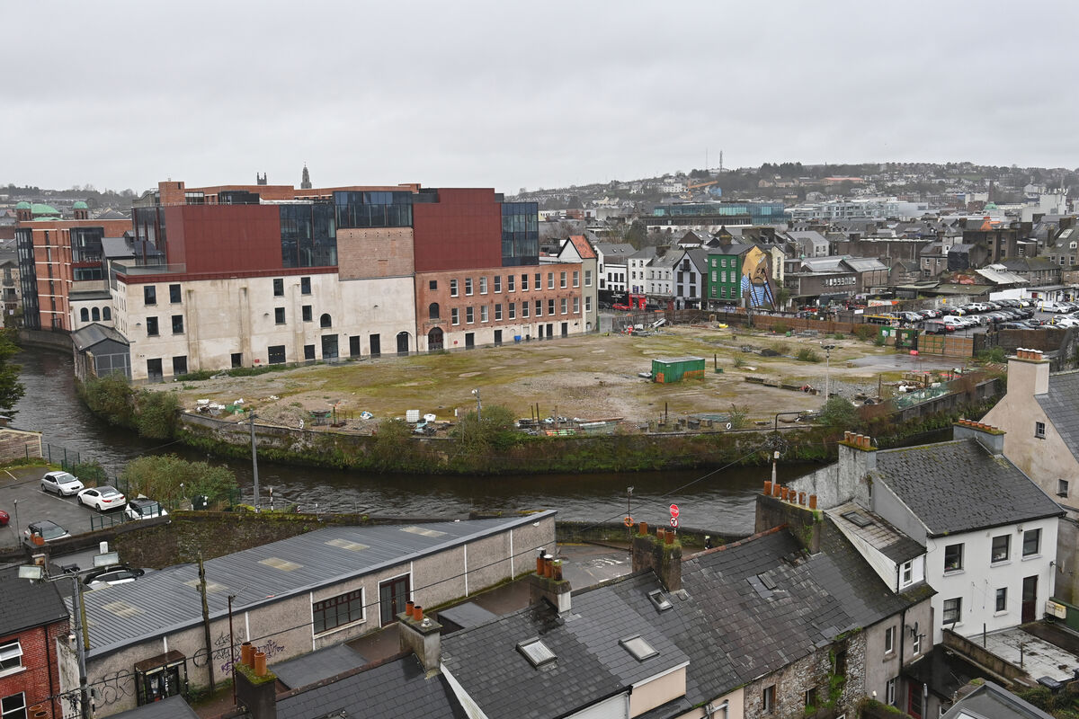 Local elections: Everything you need to know about the Cork City South ...