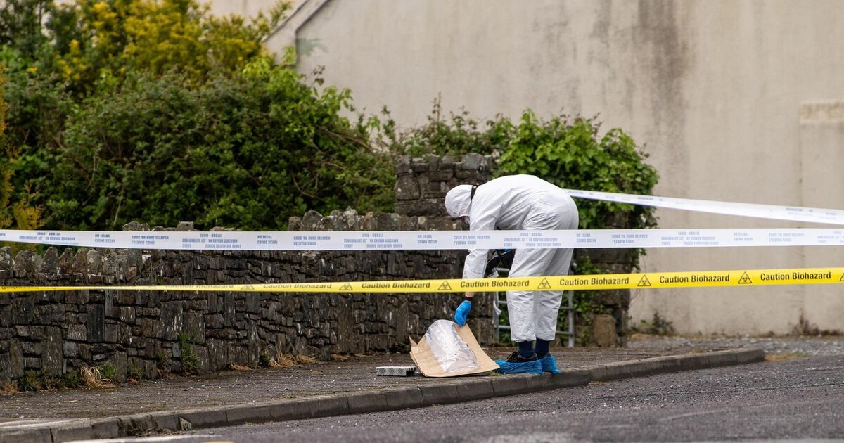 Two held in Kerry following fatal stabbing