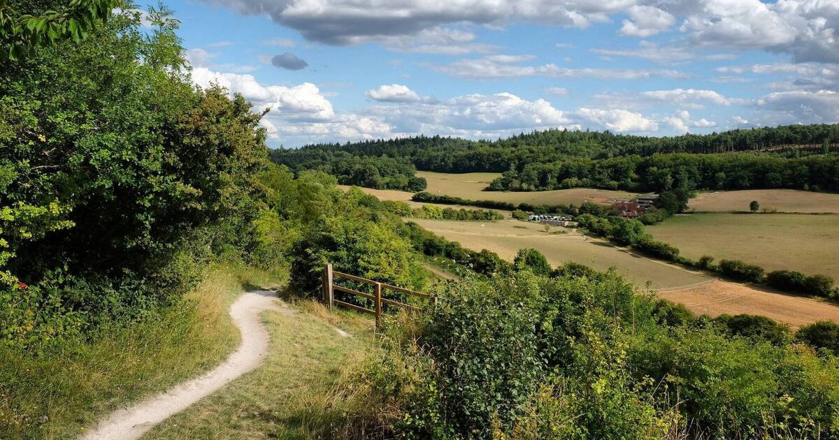 Ask a solicitor: My neighbour wants to claim my land