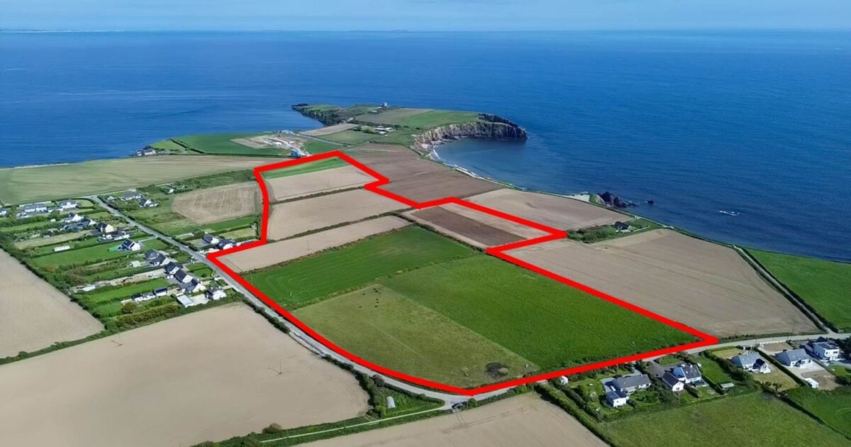 33-acre seaside farm in Wexford expected to fetch €10k-12k/acre