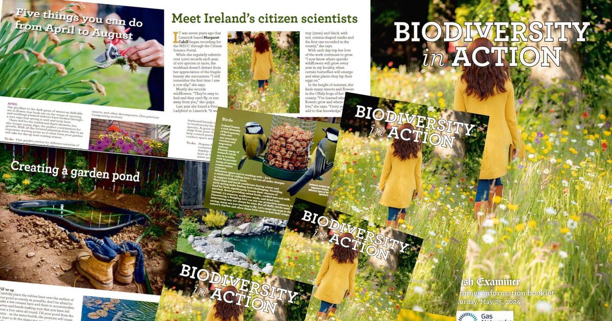 Flick through the 32 colourful pages of 'Biodiversity in Action'