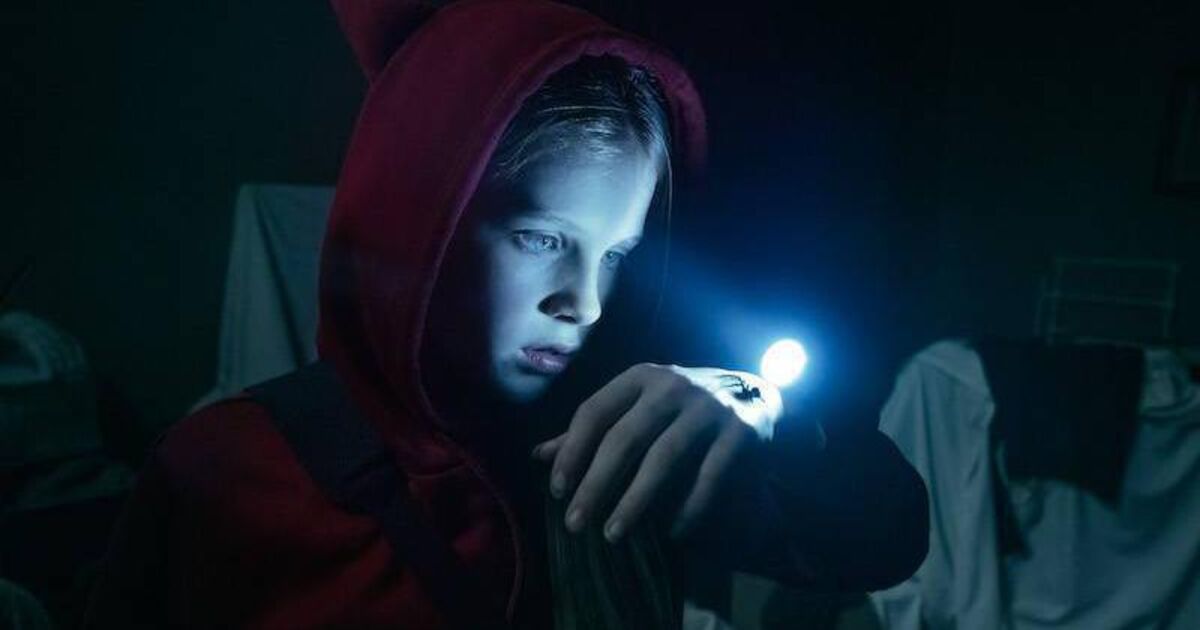 Film Review: Sting offers black comedy and skin-crawling horror