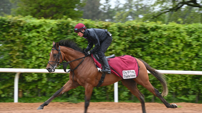 Darren Norris: Epsom Derby revolves around City of Troy