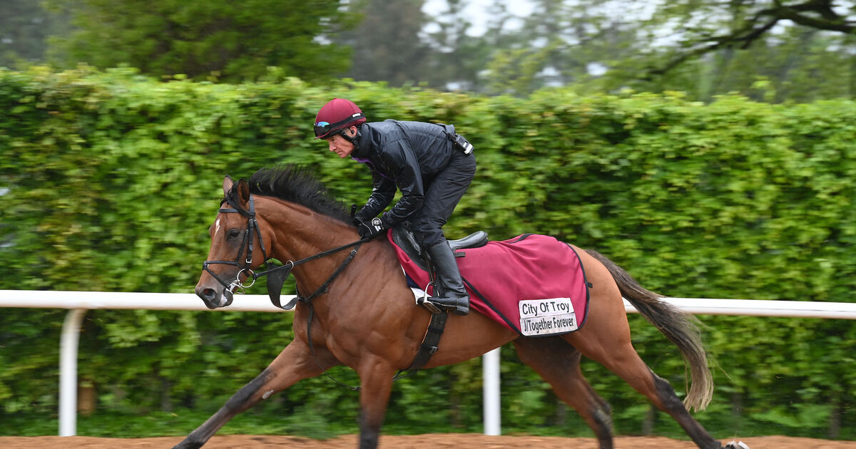 Darren Norris: Epsom Derby revolves around City of Troy