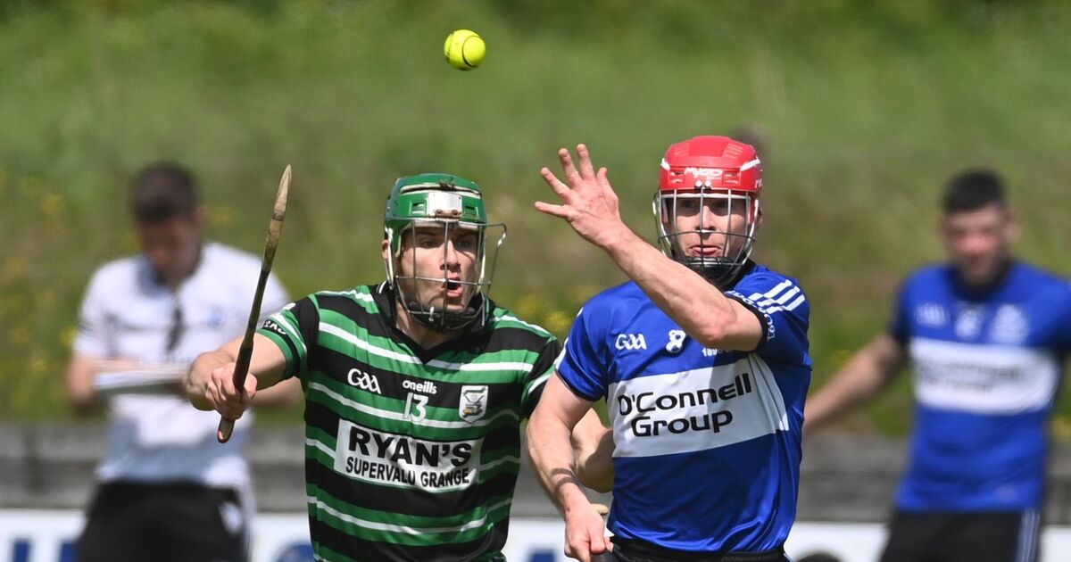 Cork Hurling League: Sarsfields rebound to hammer Douglas