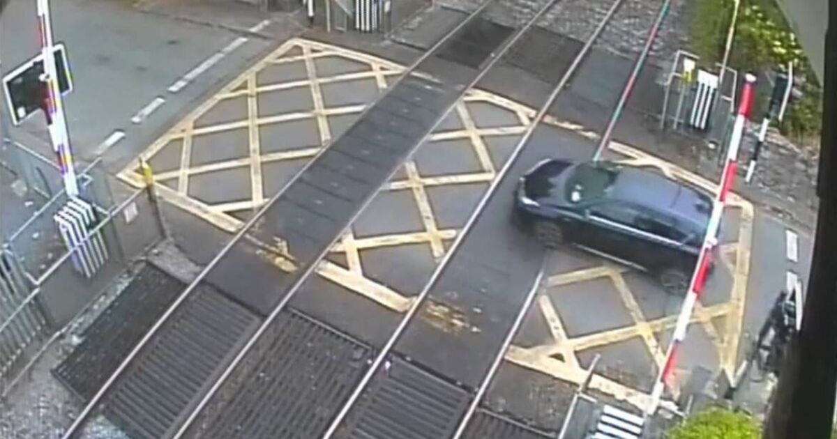 Watch: 28 'very worrying incidents' at level crossings so far this year