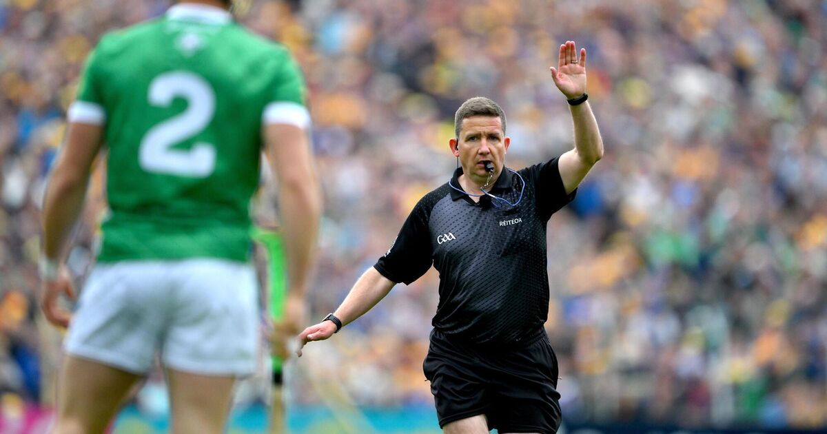 Brian Gavin: Colm Lyons was the safe pair of hands needed in Munster ...
