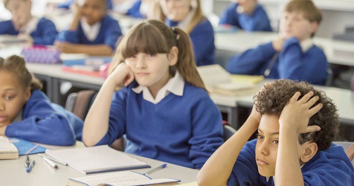 Irish Examiner view: Schools should not have to deal with the eTender ...