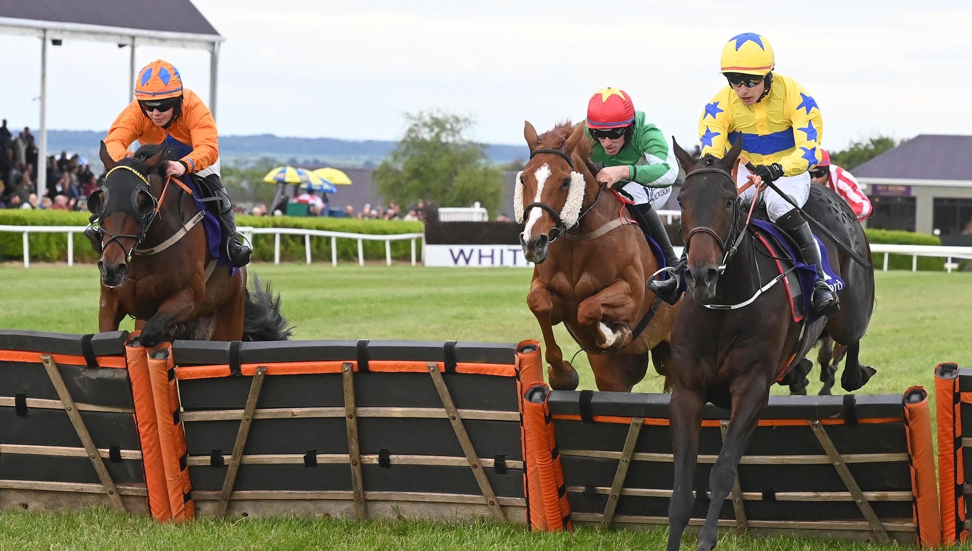 Sligo tips: Progressive Flicker Of Hope can complete hat-trick