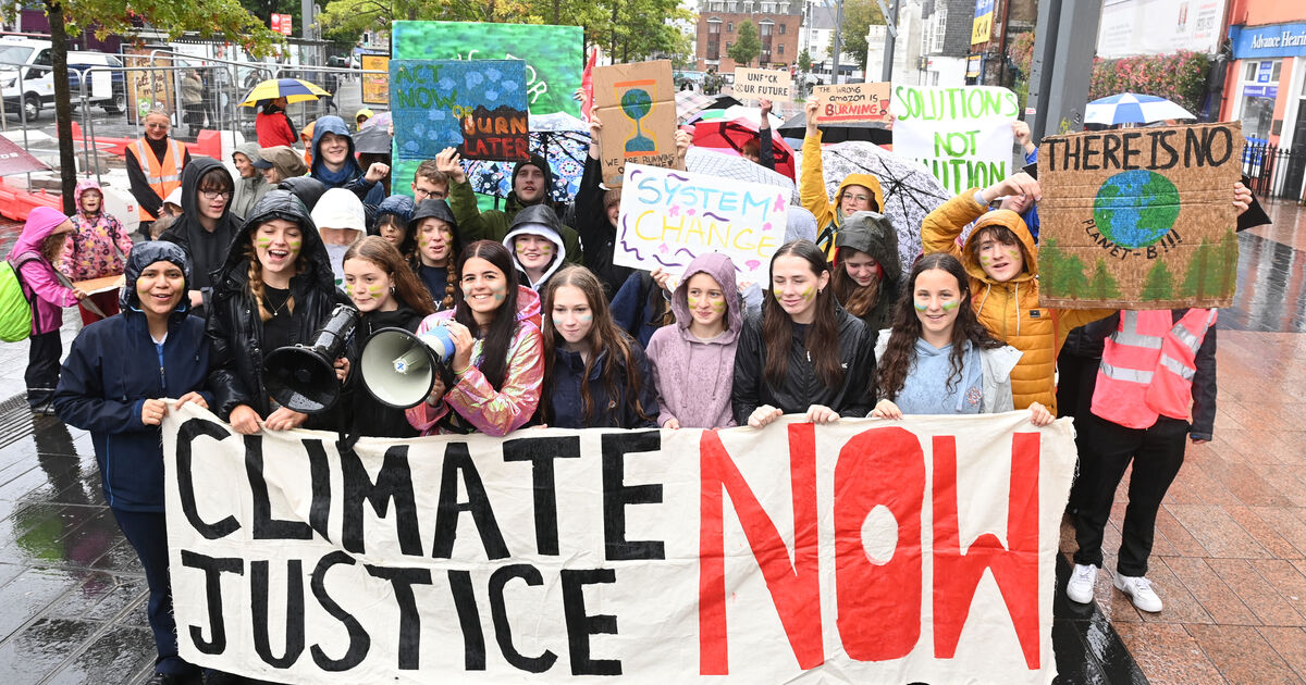 Youth activists are now real agents of change at global climate summits
