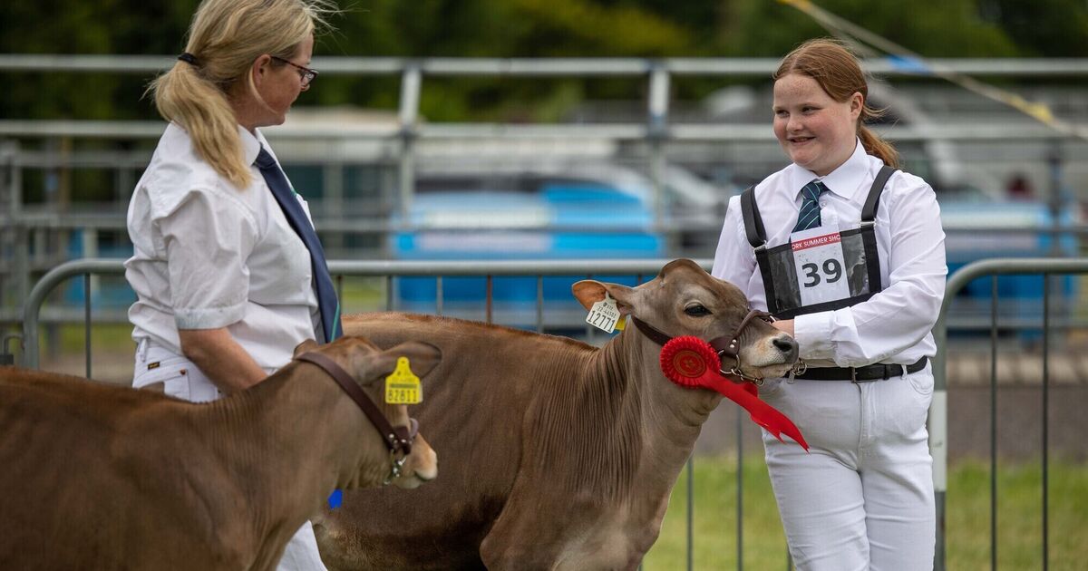 Paula Hynes: VIP access to a Summer Show portaloo