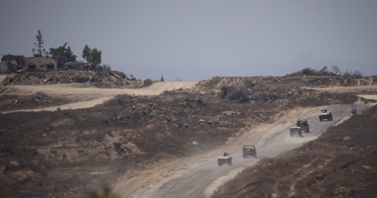 Dorcha Lee: An international peacekeeping force should replace the IDF ...