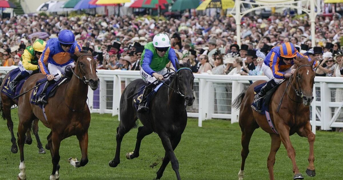 Moore weaves Albany magic aboard Fairy Godmother at Ascot