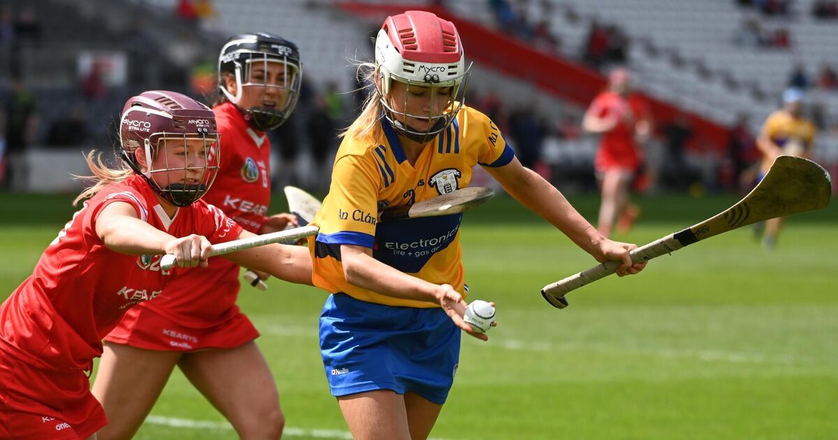 Camogie Preview: Banner bid to bounce back against Galway