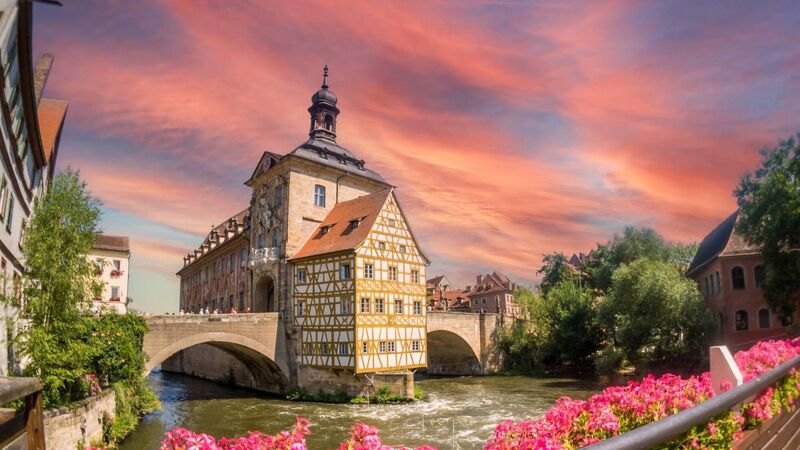 Peter Dowdall: Why I love dianthus and pelargonium blooms