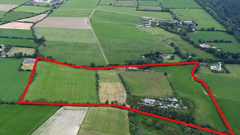 33-acre block up for sale in East Cork