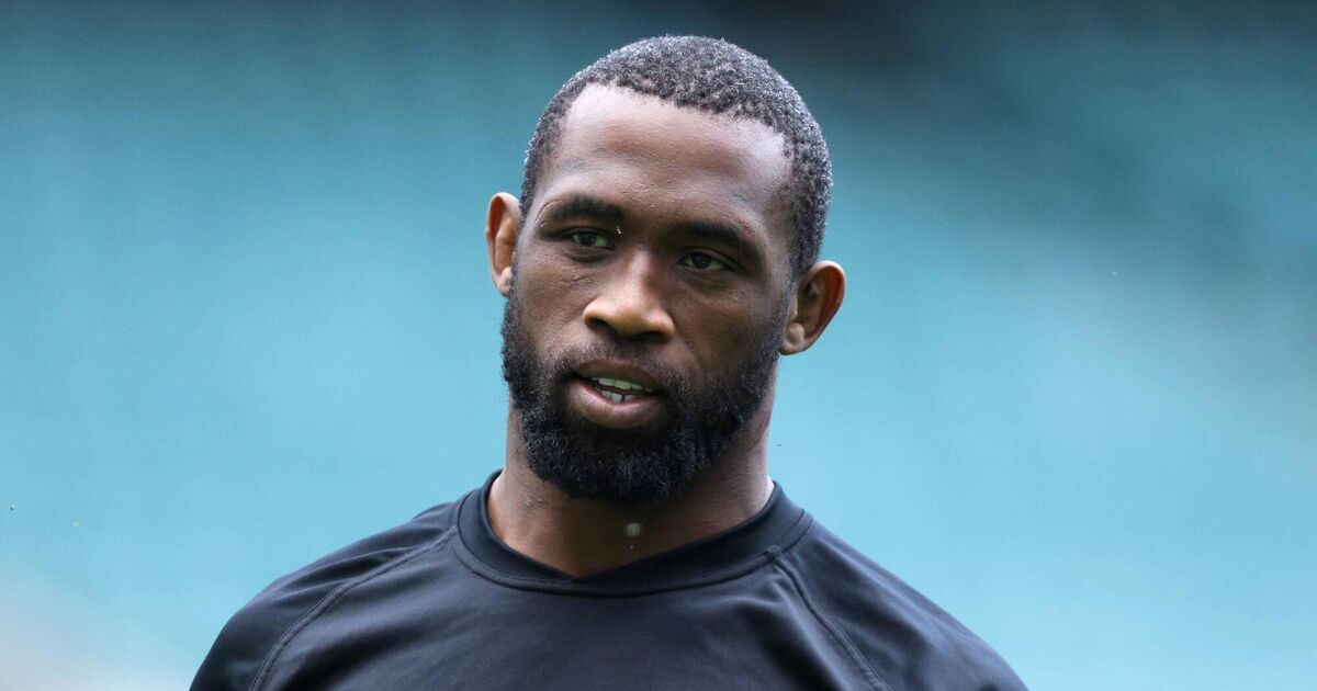 Erasmus confirms Siya Kolisi is in good shape and will be captain for ...