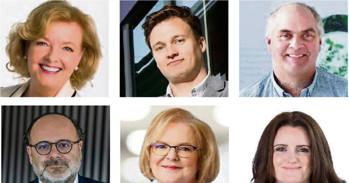 Business movers: People starting new jobs in Ireland