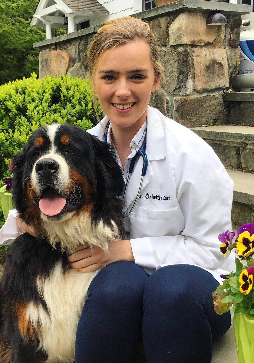 No pet peeves in this job: Cork veterinarians talk about their work