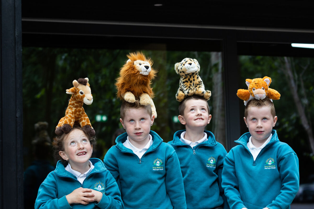 Fota Wildlife Park director ready for the quiet life after 40 years at helm