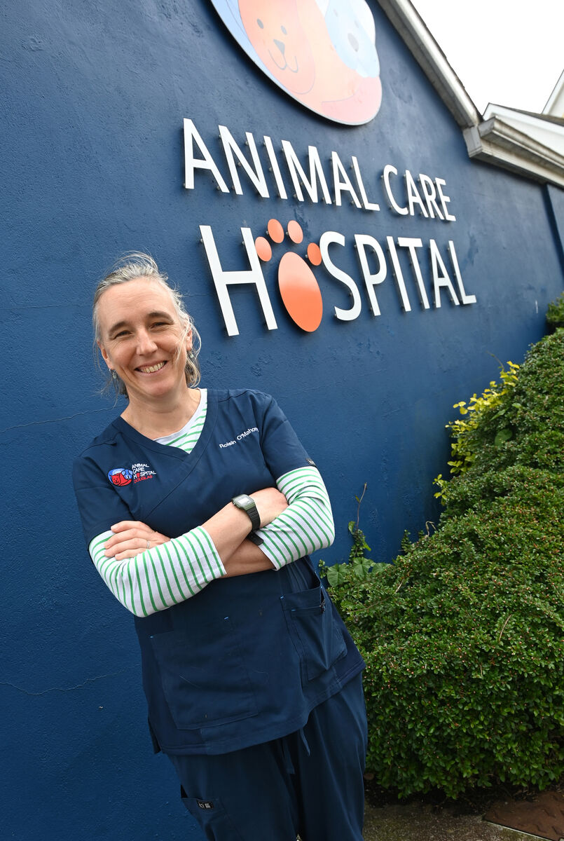 No pet peeves in this job: Cork veterinarians talk about their work