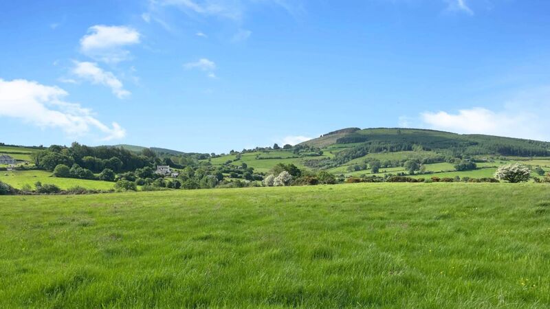 48-acre Carlow farm hits €450,000 at online auction