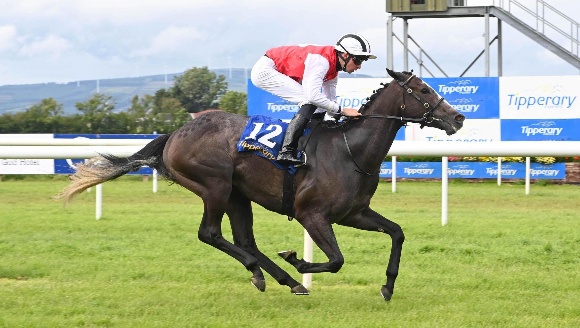 Tipperary tips: Havana Notion can repeat the feat for in-form Feane