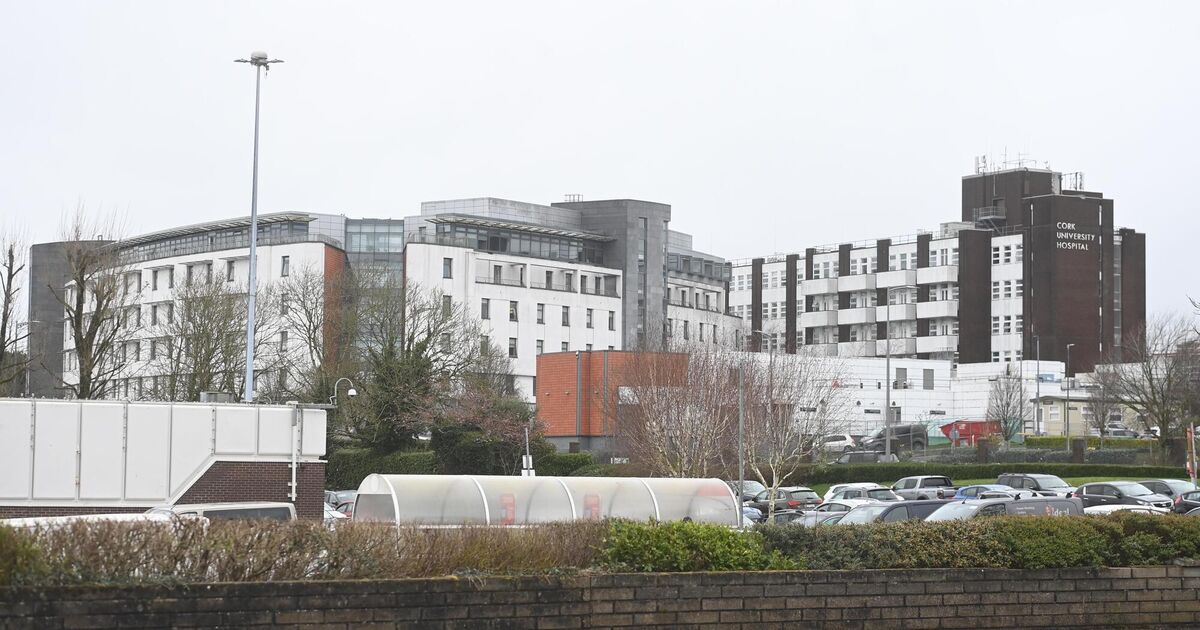 Witness appeal after man seriously injured in Cork hit-and-run