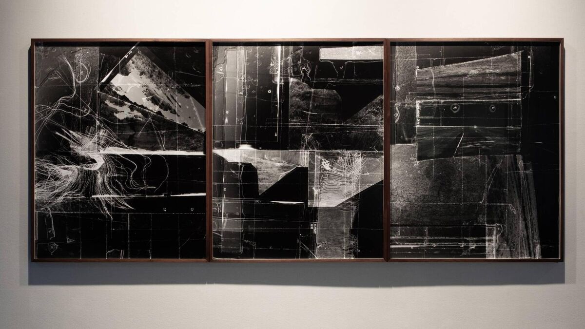 Catriona Leahy: Midleton artist digs deep for meaning in our boglands